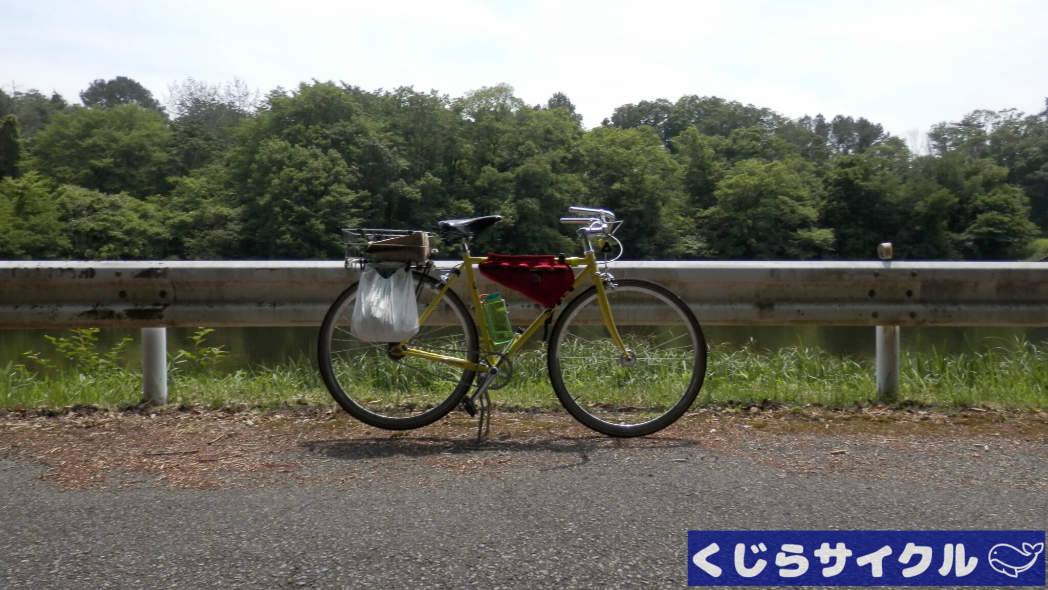 【ミノウラMT-800N】リアキャリアは結局これですわ | くじらサイクル